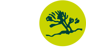 Technical Support for Life Cycle Cost Analysis of Steel Products and ...